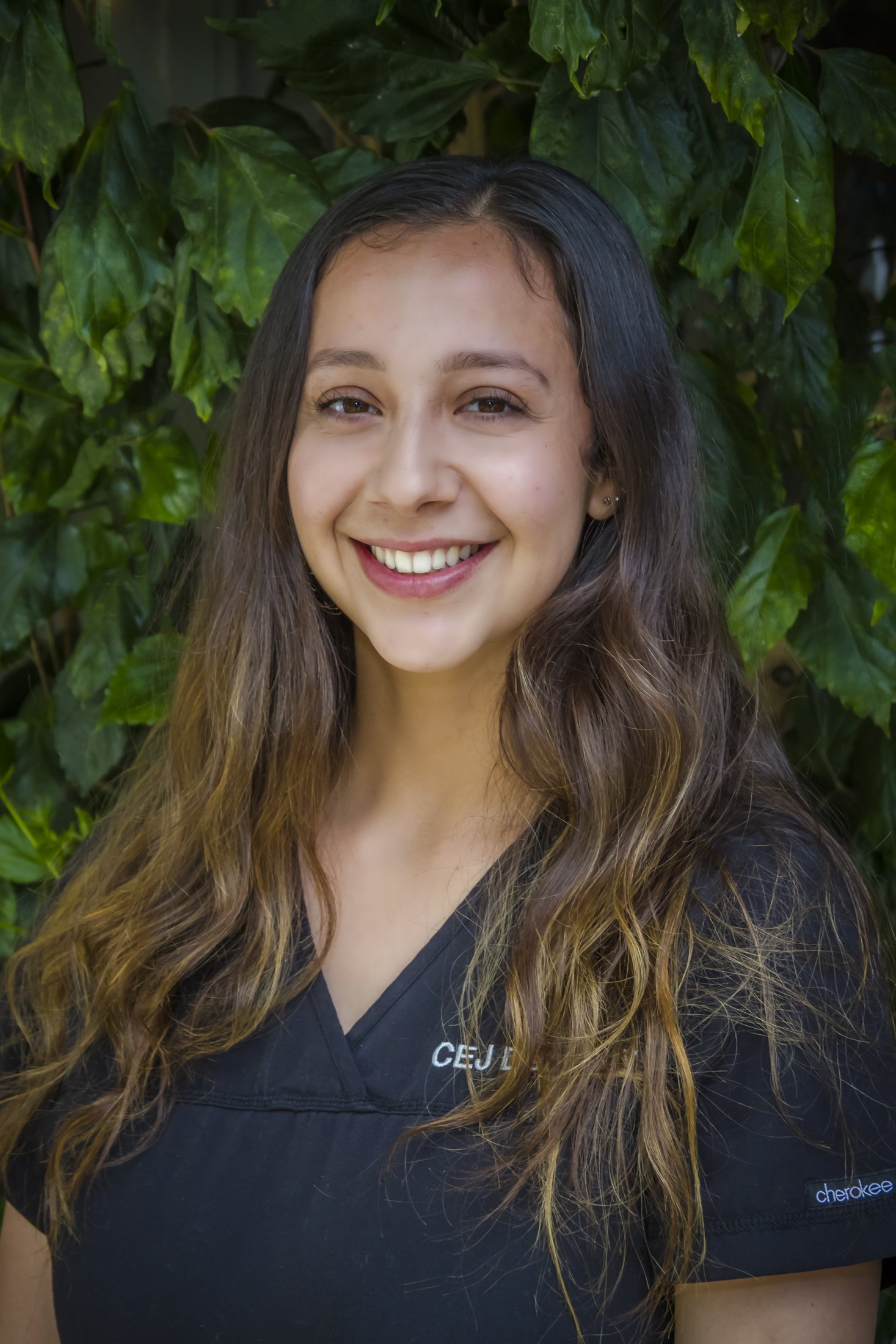 Meet the Staff Monterey CA, Curtis E. Jansen, DDS